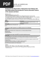 Lung CA Protocol | PDF | Carcinoma | Metastasis