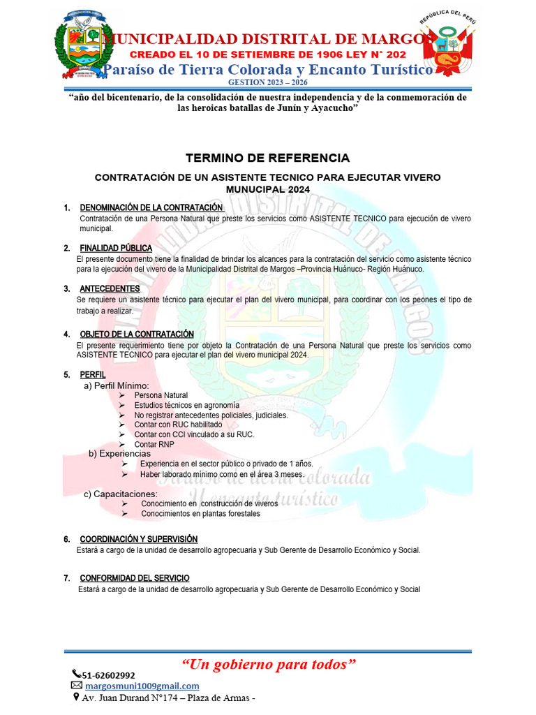 TDR Asistente Tecnico | PDF