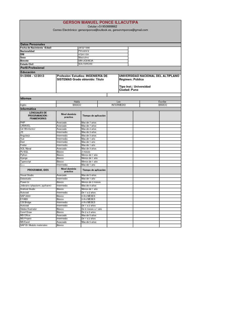 Gerson Ponce CV Sistemas | PDF | Programación de computadoras | Ciencias de la Computación
