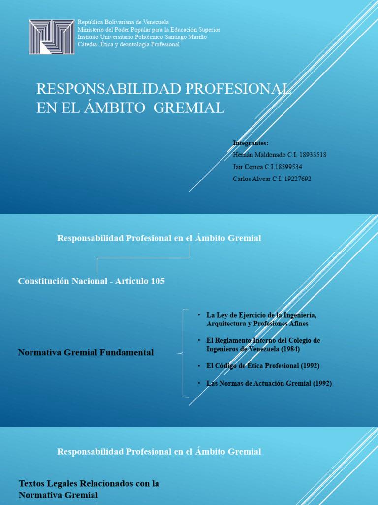 Responsabilidad Profesional en El Ámbito Gremial | PDF | Ética ...