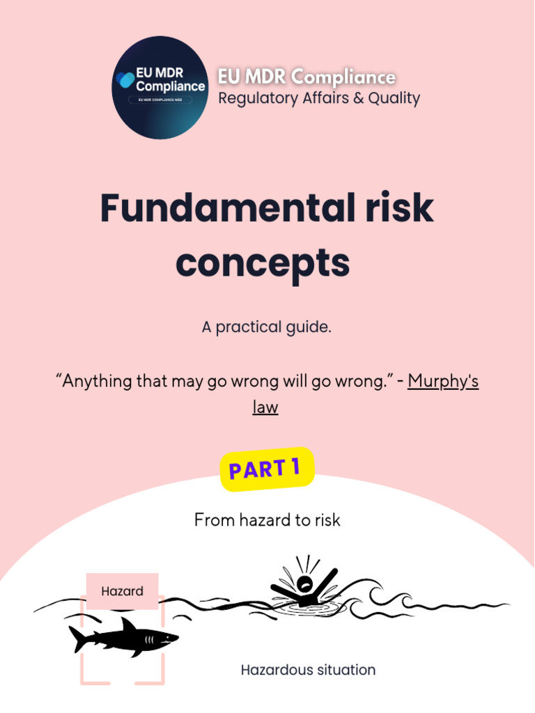 Understanding Risk: A Practical Guide | PDF | Hazards | Risk