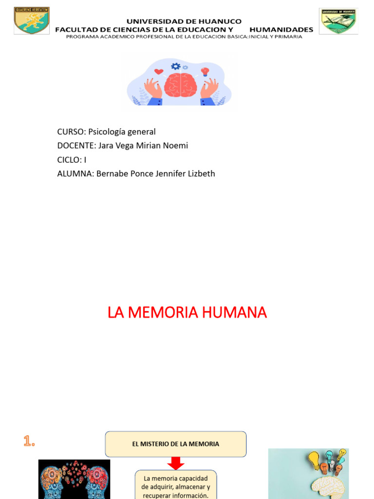La Memoria Humana Jennifer Bernabe | PDF | Memoria | Recuperar (memoria)