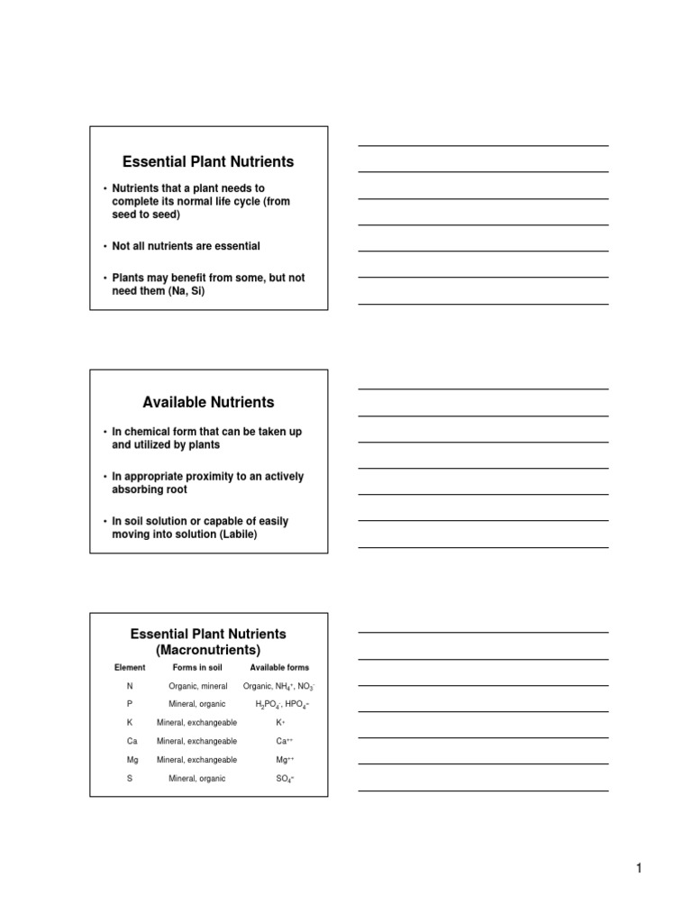 Essential Plant Nutrients Guide | PDF | Plant Nutrition | Soil