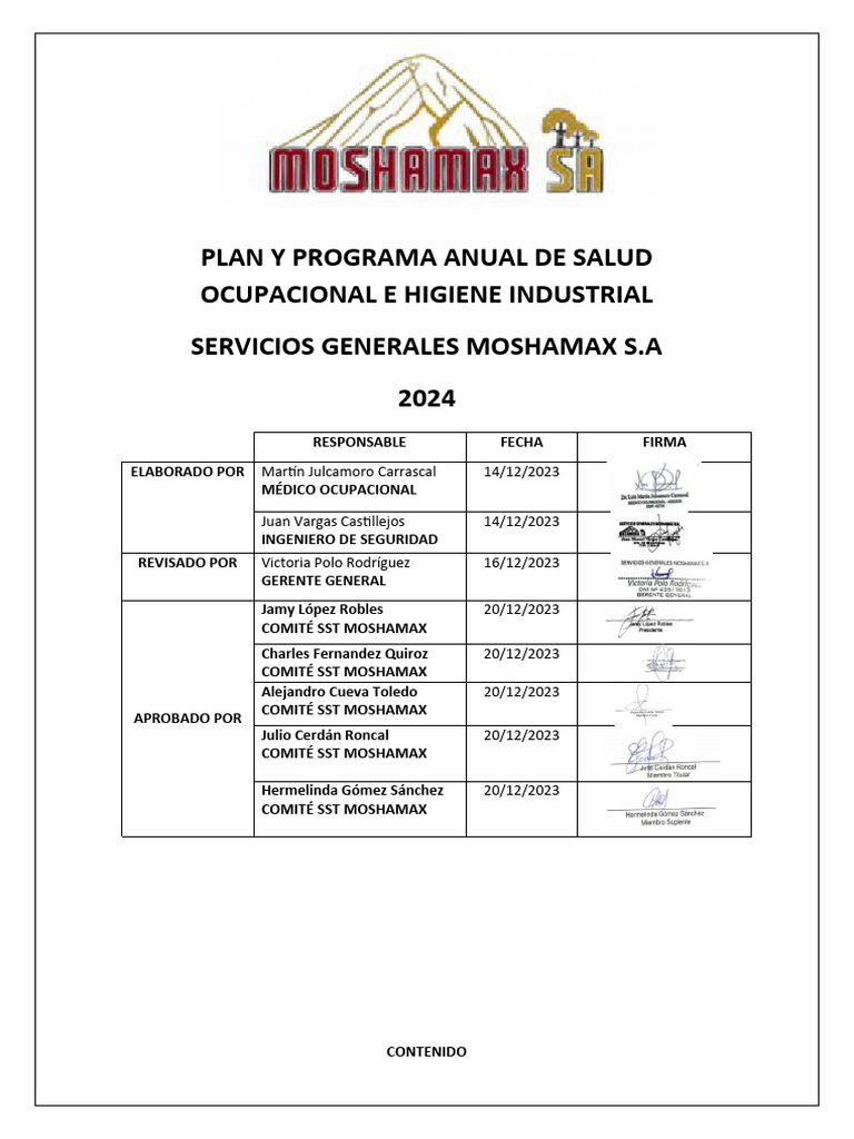 Sig-Sst-Pp-19 Plan y Programa Anual de Salud Ocupacional e Higiene Ocupacional 2024 | Descargar ...