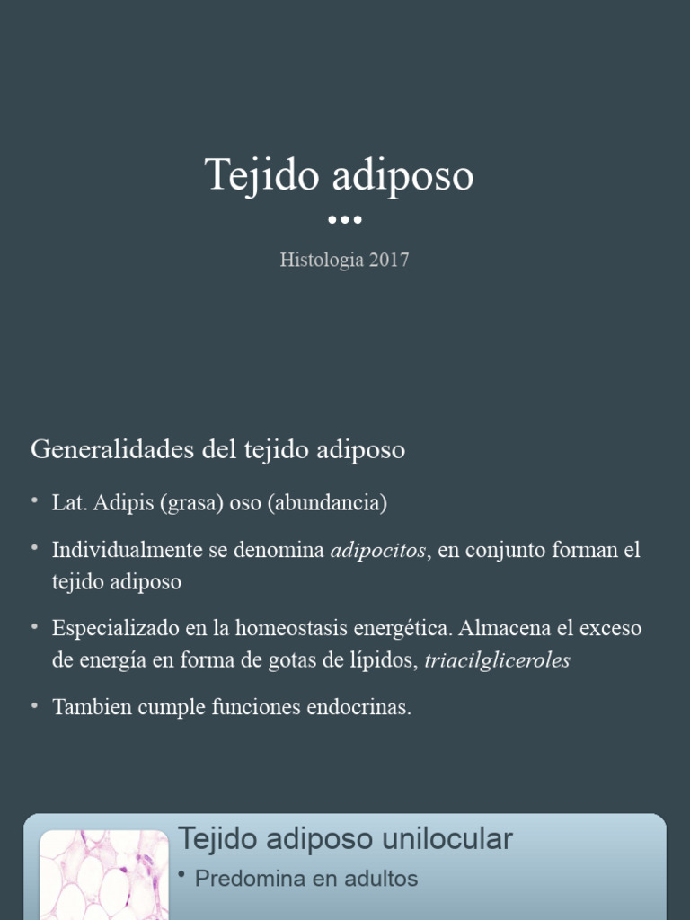 02 Tejido Adiposo | PDF | Tejido adiposo | Leptina