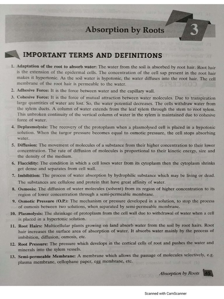 Absorption by Roots | PDF