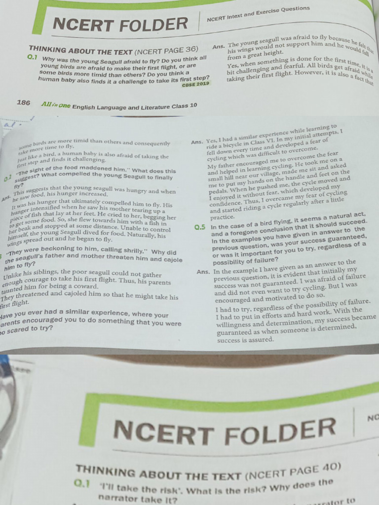 Two Stories About Flying | PDF