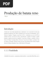 Bitone Projecto Batata Reno1 | PDF | Batata | Agricultura