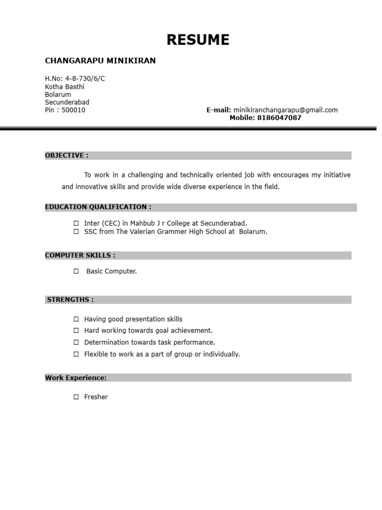 Reusme Mini | PDF | Career & Growth