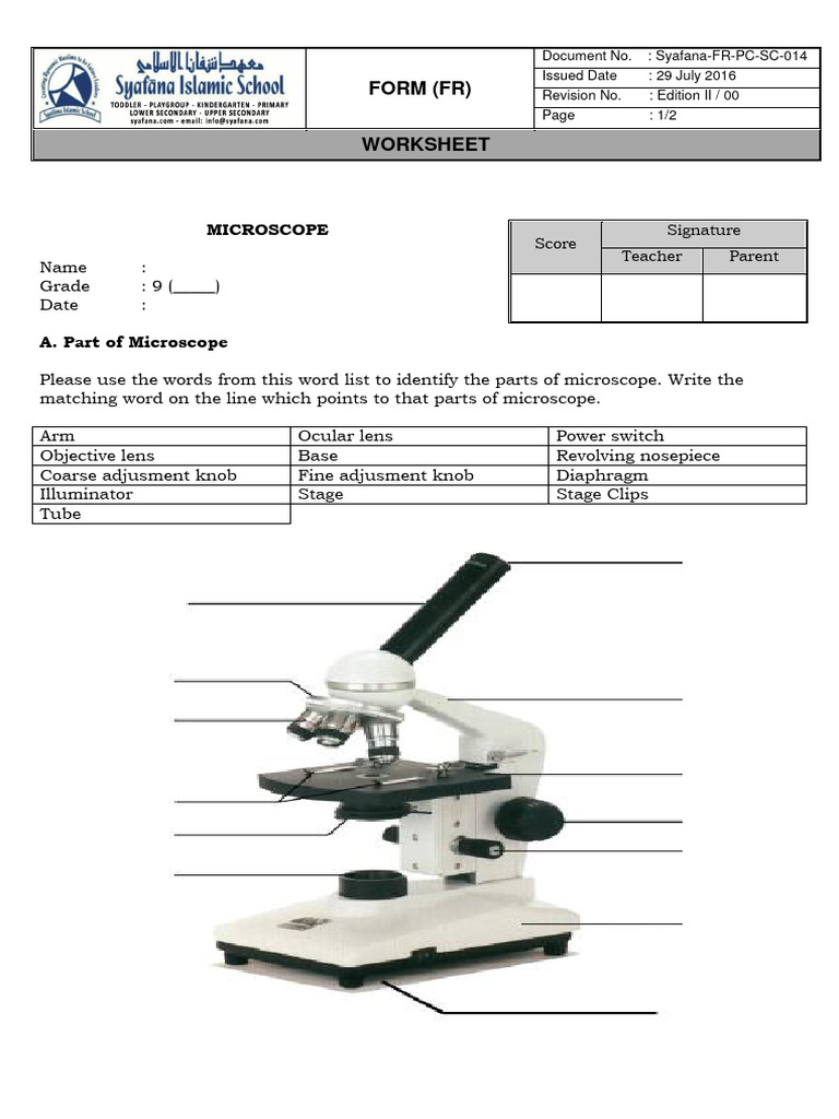 WS Microscope | PDF | Microscopy | Laboratory Equipment