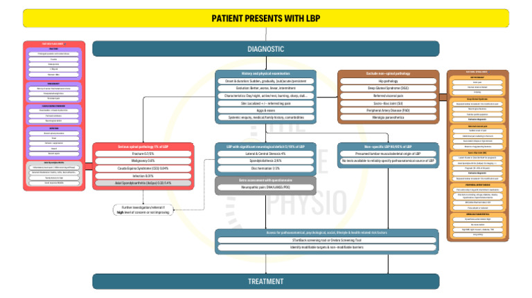Low Back Pain Triage | PDF | Pain | Diseases And Disorders