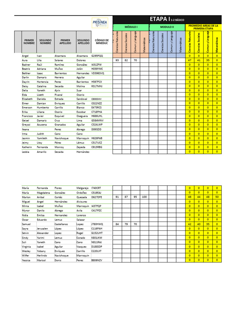Registro de Calificaciones y Notas 2024 | PDF | Investigación | Observación