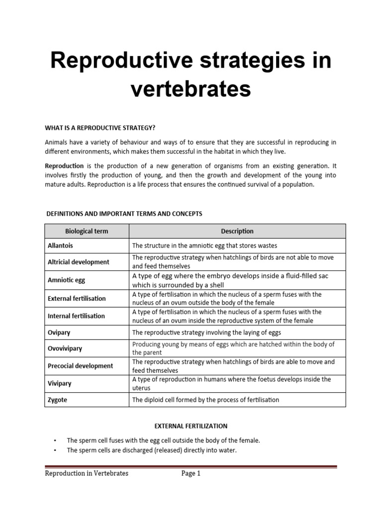 Reproductive Strategies in Vertebrates | PDF | Egg | Fertilisation