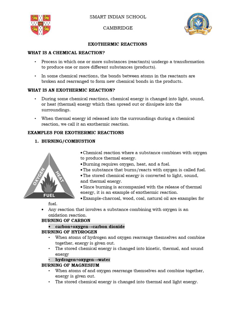 G8 Chem Unit 8 Notes | PDF | Chemical Reactions | Combustion