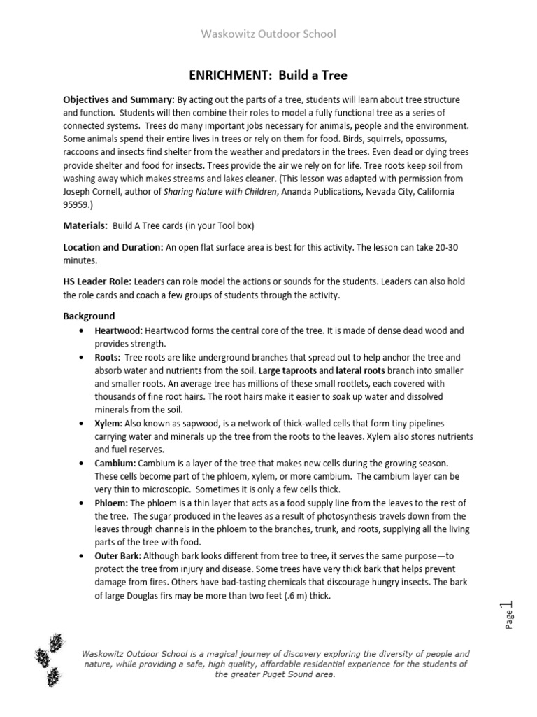 Lesson Plan Build A Tree | PDF | Trees | Root