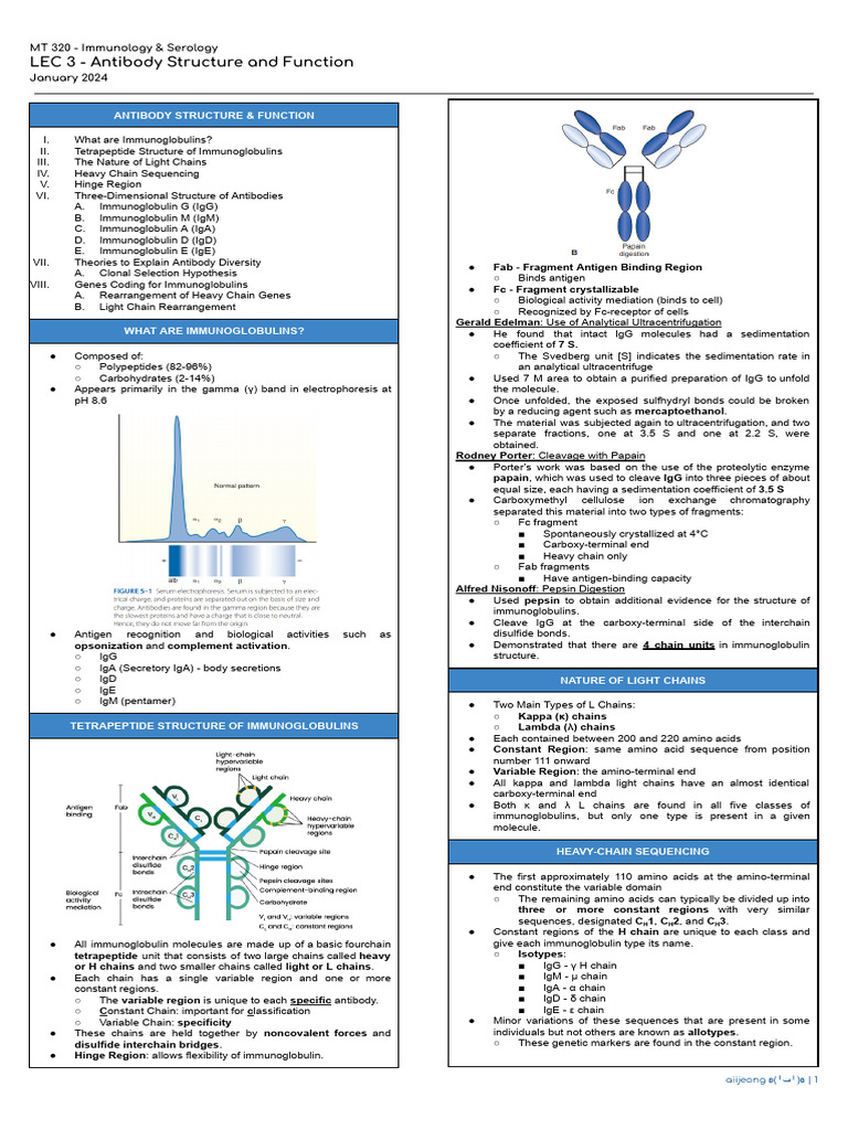 Immunosero - Antibody Structure and Function | PDF | Antibody | Immunoglobulin G