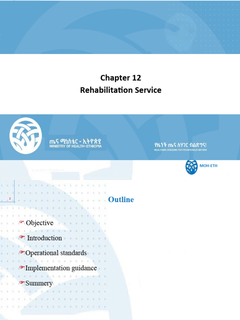 National Rehabilitation Service Guidelines | PDF | Physical Therapy ...
