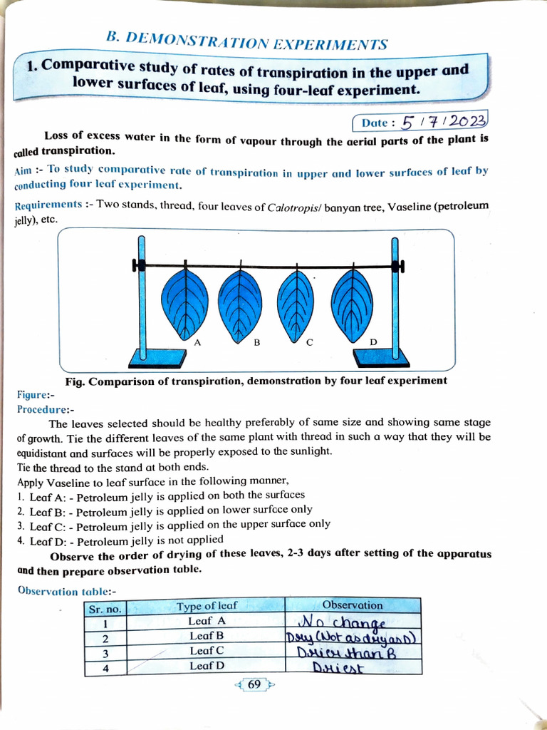 Adobe Scan 21 Jun 2024 | PDF | Stoma | Leaf