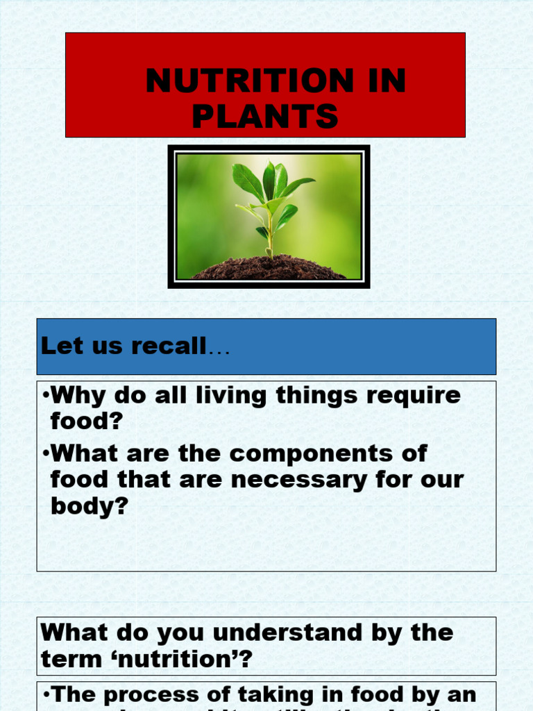 Nutrition in Plants | PDF | Wellness