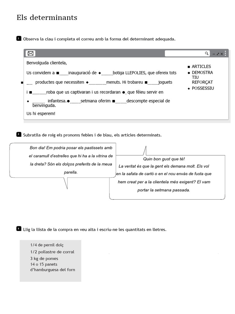 Exercicis de Reforç Els Determinants | PDF