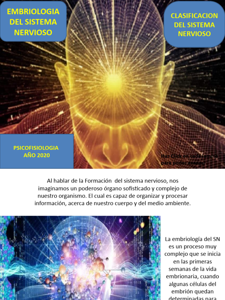 Embriologia Del Sistema Nervioso Presentacion Teorico 2020 (1) - 2 ...