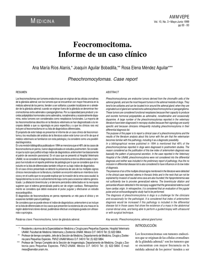 Artículo Feocromocitoma | PDF | Especialidades Medicas | Enfermedades y trastornos