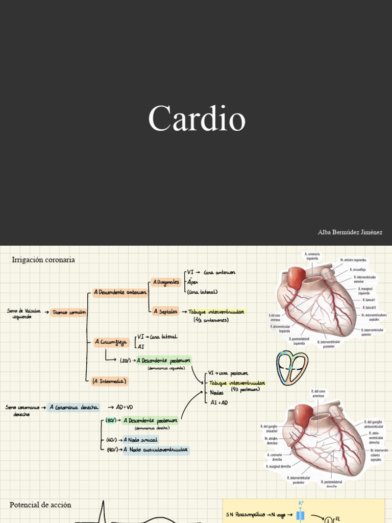 Cardio | PDF | Ventrículo (corazón) | Corazón