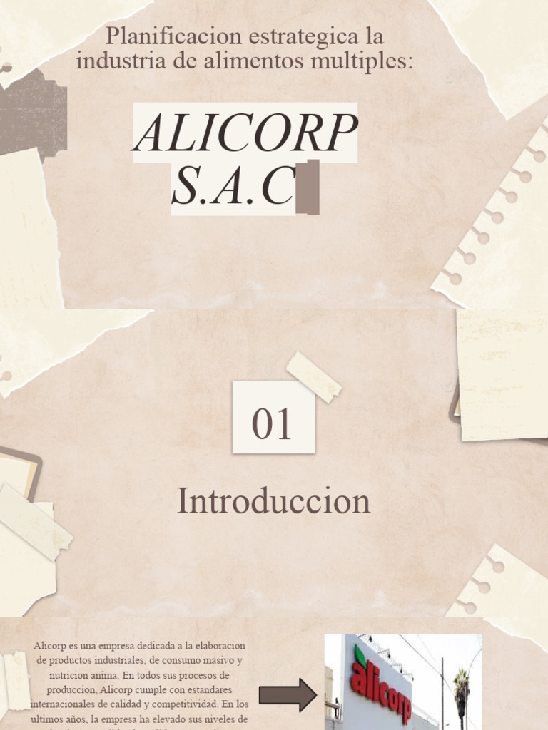 Alicorp 2 | PDF | Marketing | Business