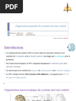 Rôle et anatomie du centre ovale cérébral | PDF | Cerveau | Cortex cérébral