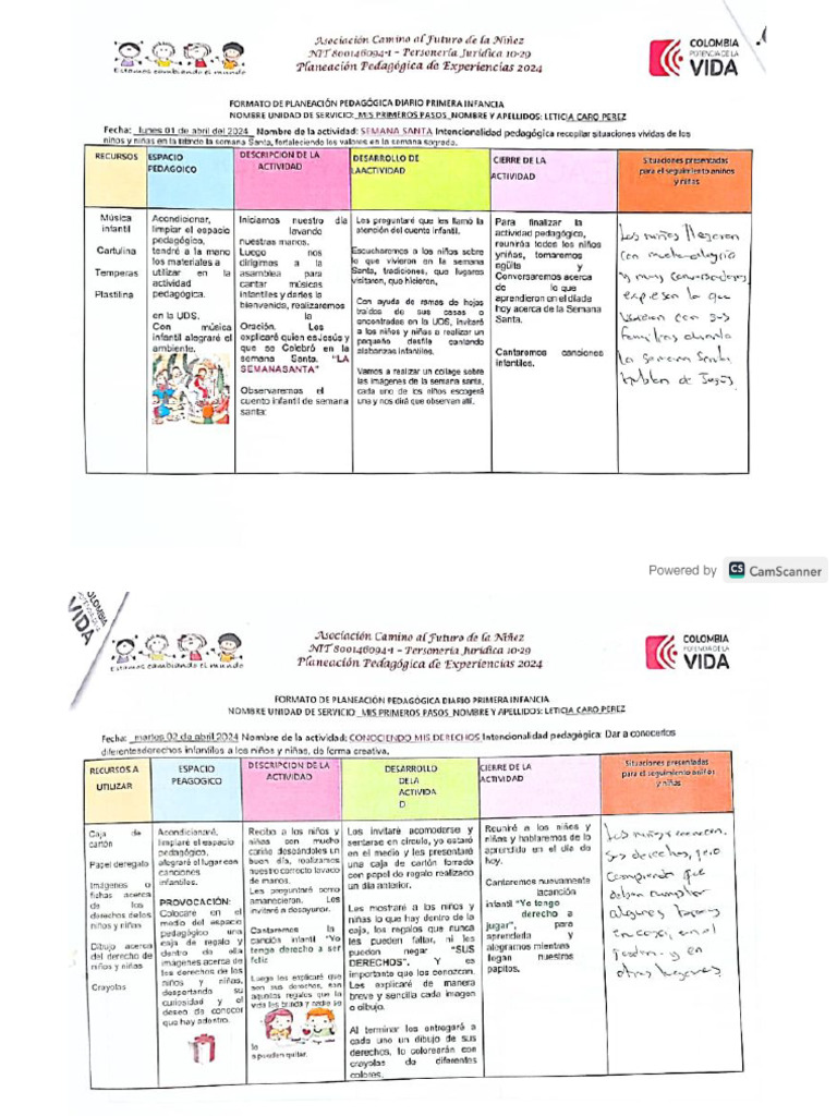 Planeacion Mis Primeros Pasos | PDF