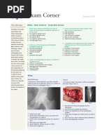 Kaplan Anatomy Coloring Book | PDF | Foot | Human Leg