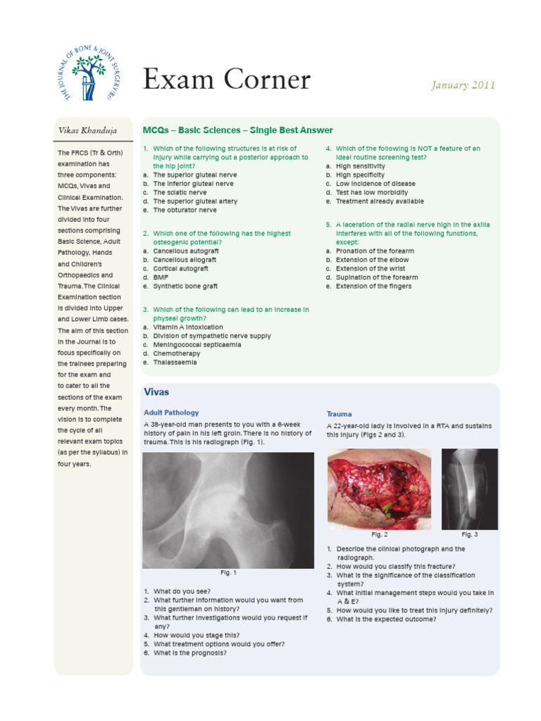 Exam Corner 2011 | PDF | Thumb | Hand