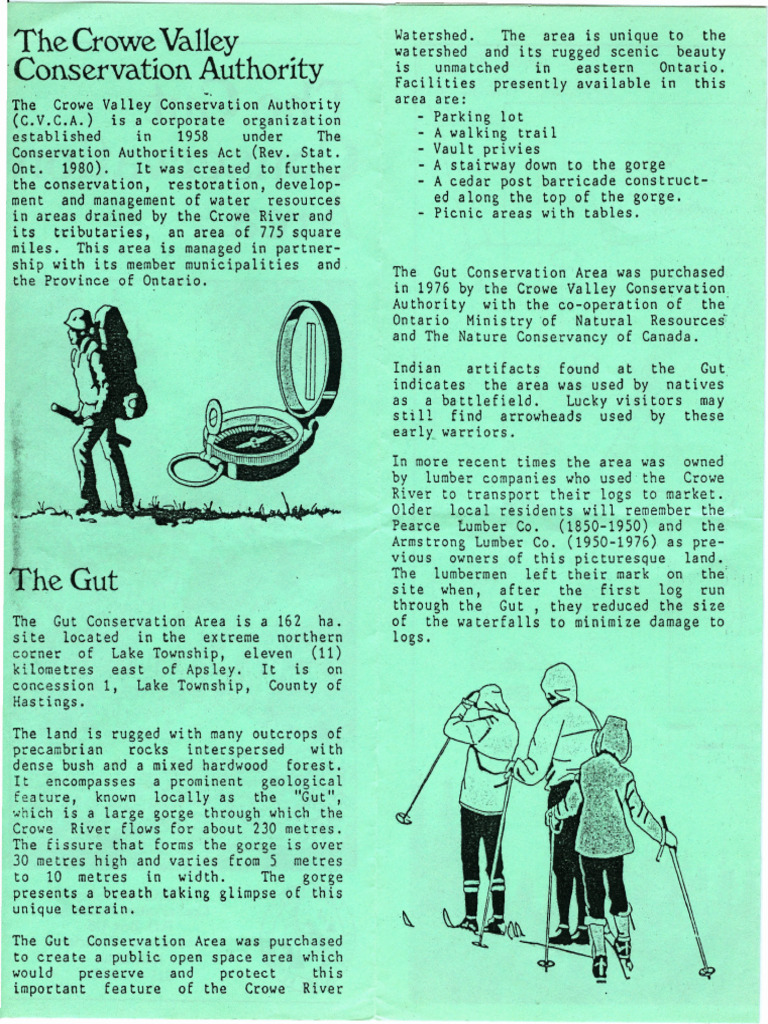 The Gut | PDF | River | Earth Sciences