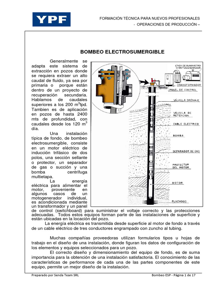 YPF-NP-07 Bombeo ESP | PDF | Bomba | Rodamiento (Mecánico)