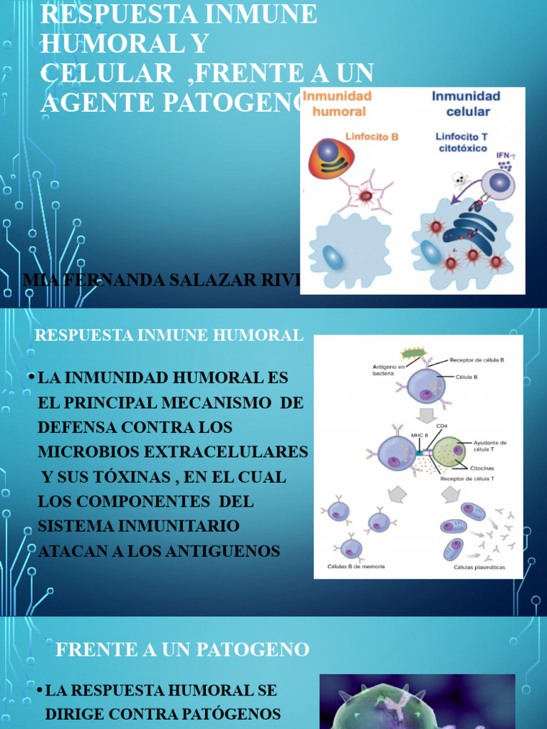 Respuesta Inmune: Humoral y Celular | PDF