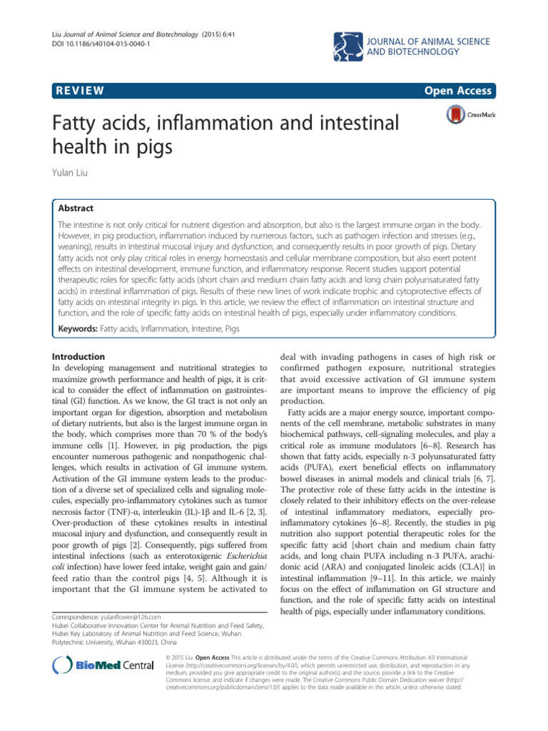 Inflammation and Gastrointestinal Function | PDF | Gastrointestinal ...