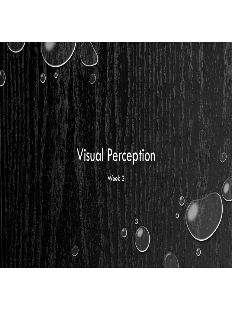 Understanding Visual Perception Basics | PDF | Visual Perception | Perception