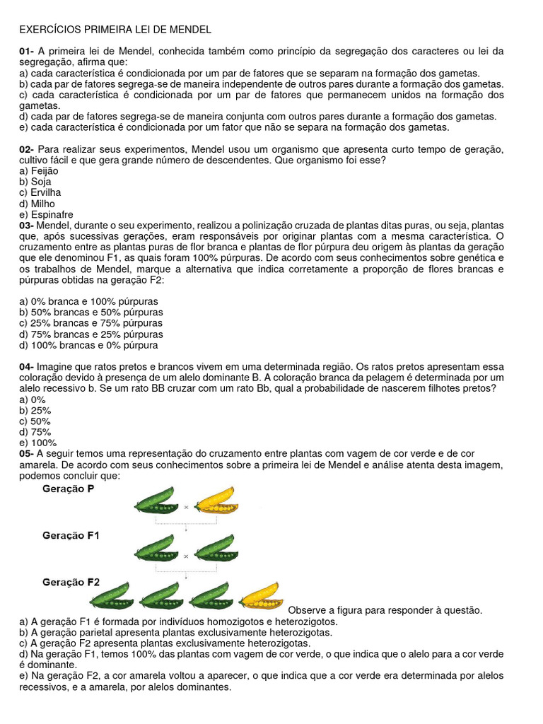 Exercícios Primeira Lei de Mendel | PDF | Dominância (genética) | Alelo