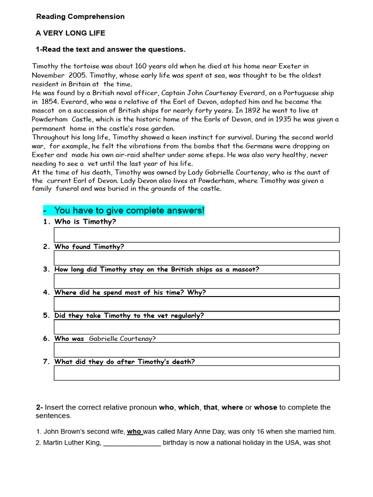 (Template) Reading Comprehension Activity! | PDF | Transaction Account ...