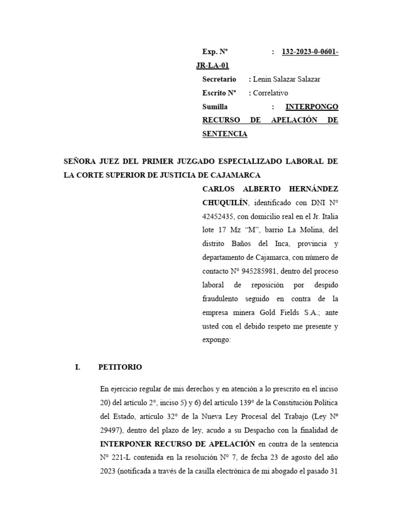 Apelación de Sentencia | PDF | Sentencia (ley) | Caso de ley