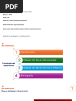 Negocios Exitosos Actividad2 | PDF | Marketing | Mercado (economía)