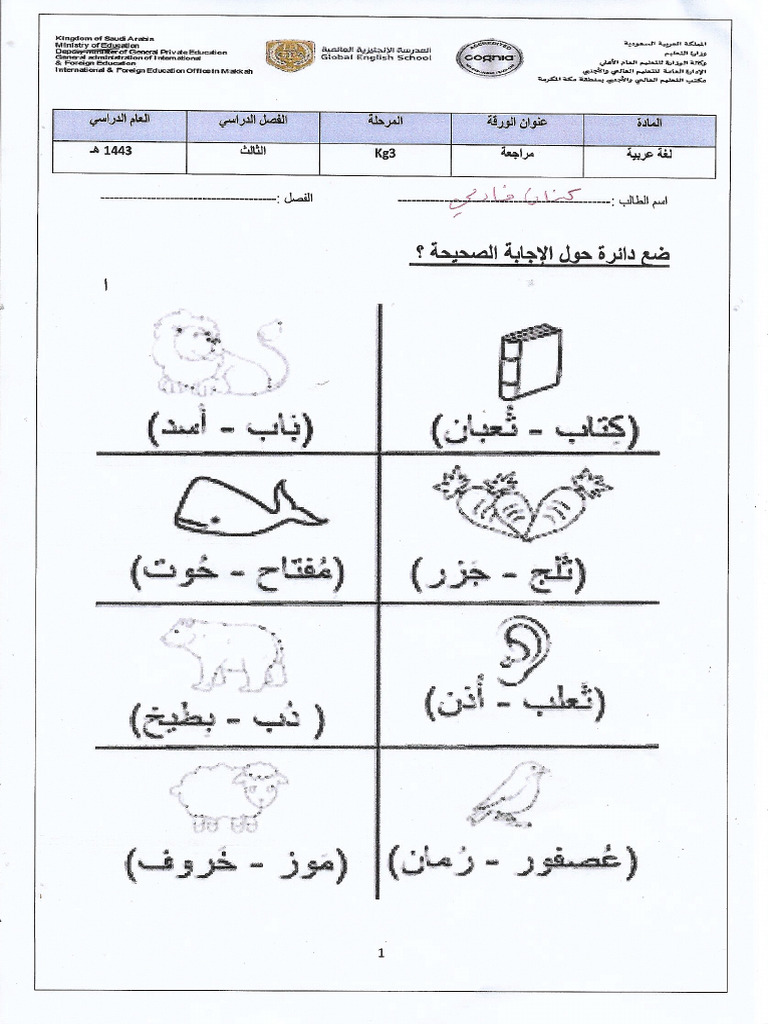 Revision Sheet Arabic | PDF