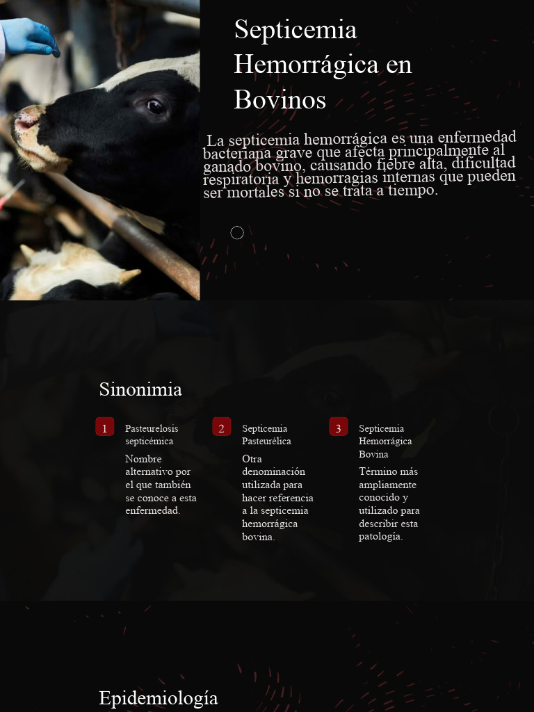 Septicemia | PDF | Septicemia | Especialidades Medicas