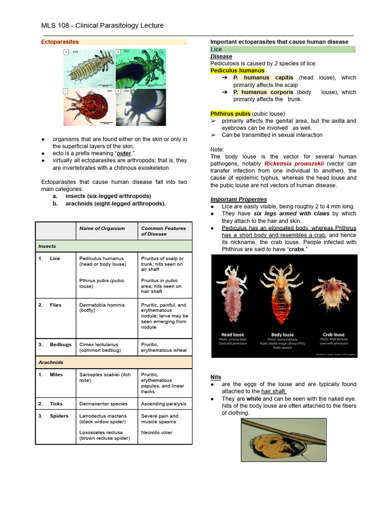Ectoparasite PDF | PDF