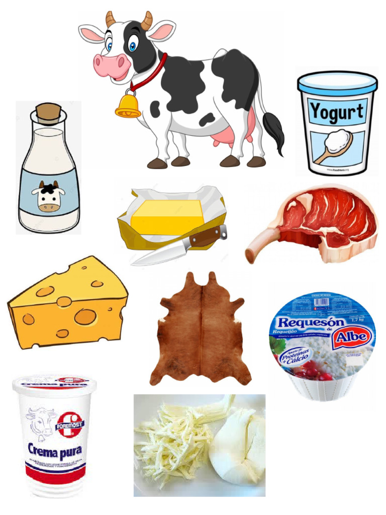 Derivados de La Vaca | PDF