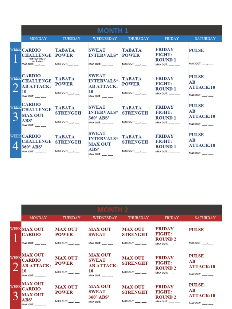 Insanity Max 30 | PDF