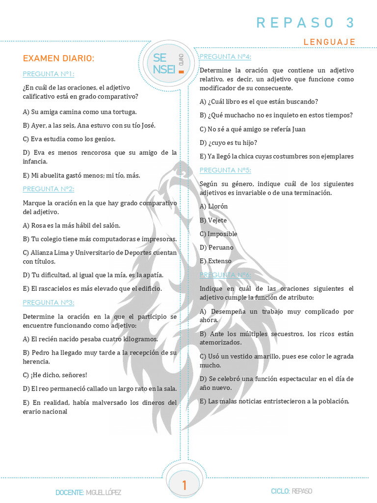 Ejercicios de Lenguaje y Adjetivos | PDF | Gramática | Lingüística