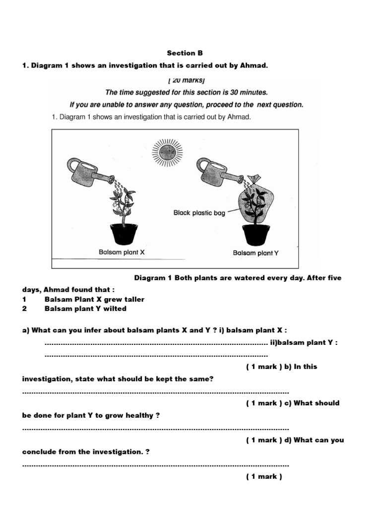Y4 Living Things - Basic Needs Section B | PDF
