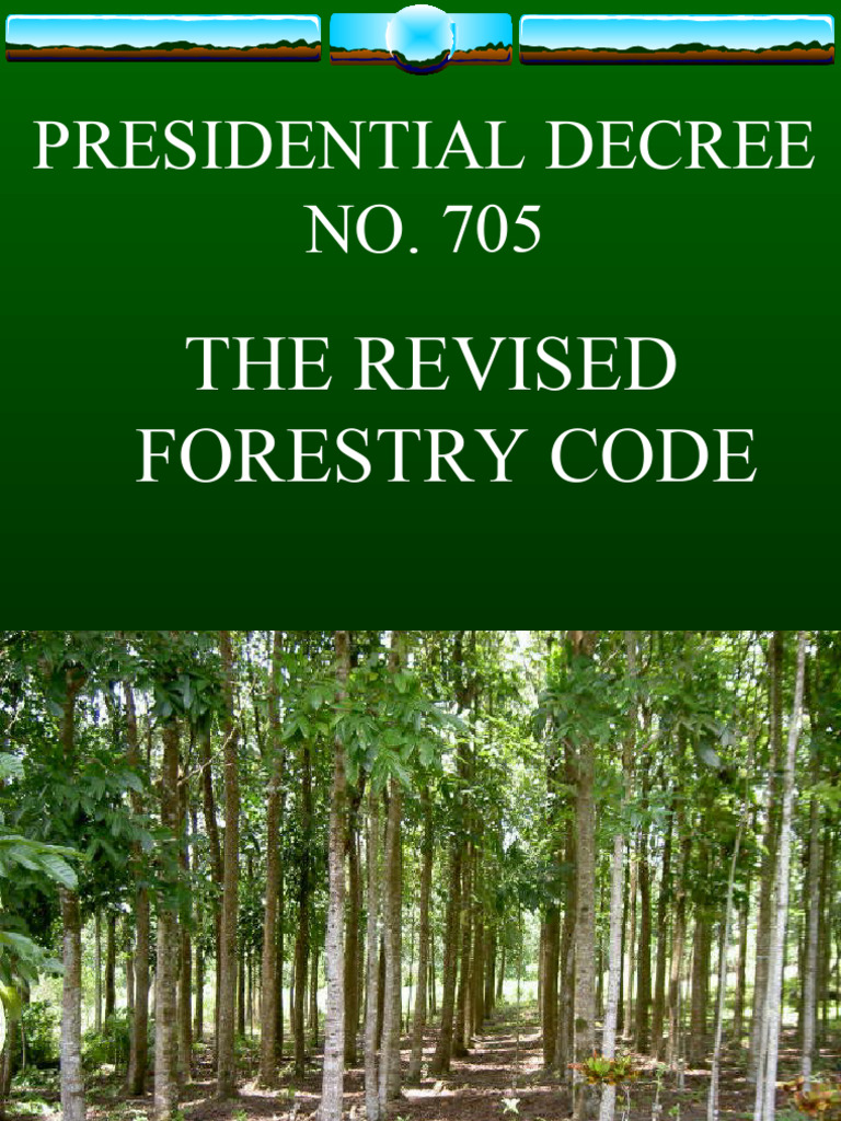 PD 705 | PDF | Lumber | Logging