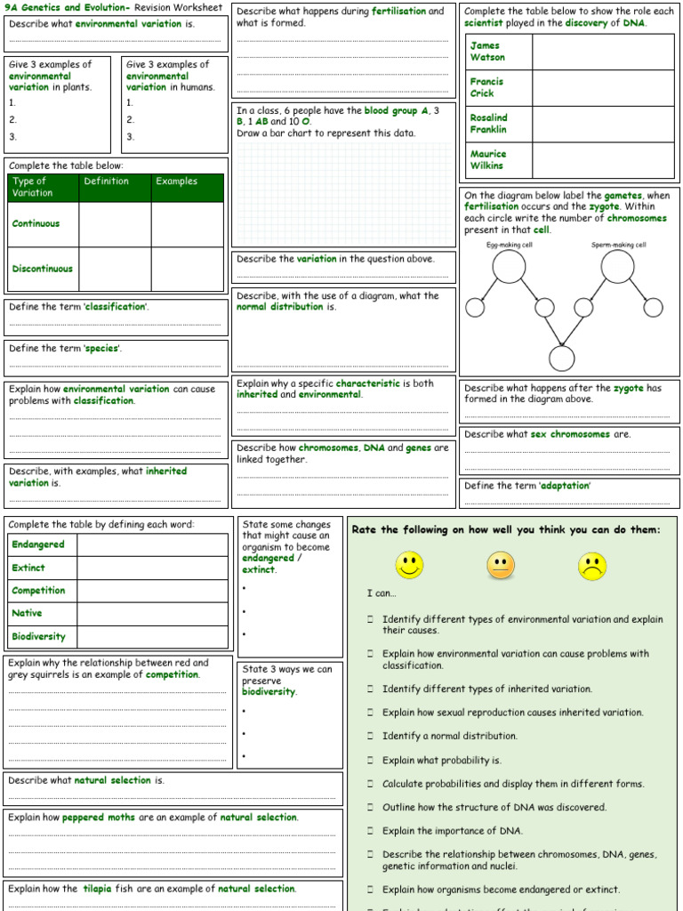 Genetics and Evolution Revision Worksheet 1 | PDF | Genetics | Evolution